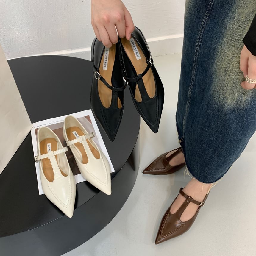 Chunky Heel Pointed Toe T-Strap Mary Jane Pumps – KawaiiMoriStore